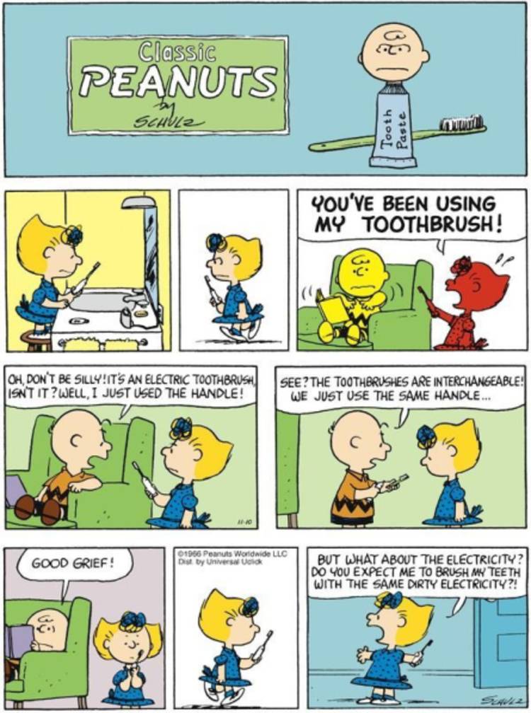 10 Hilarious Charlie Brown Comics That Prove Siblings Are the Best (and ...