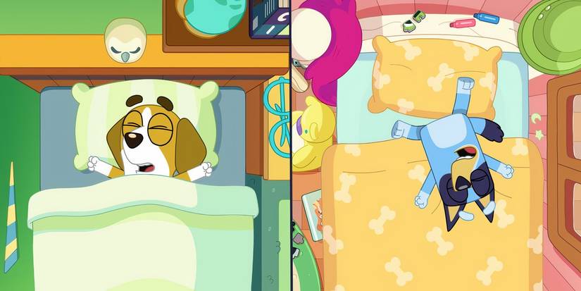 All 20 Bluey Shorts Ranked (& Where To Watch The Minisodes Online)