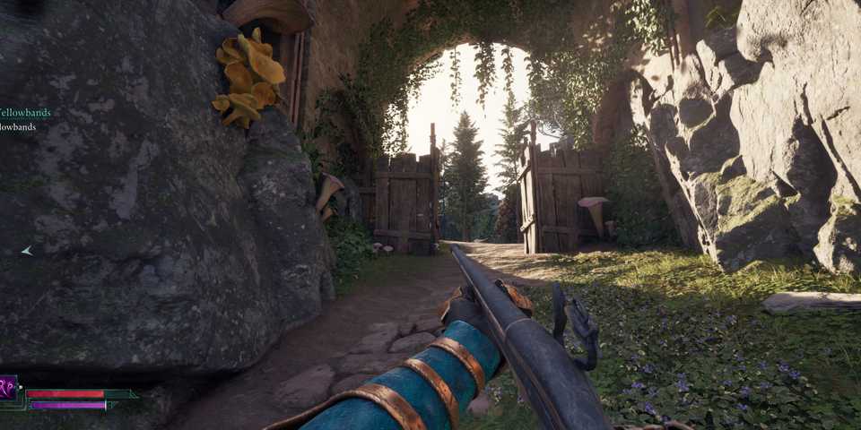 All Bounty Rewards & Locations In Avowed