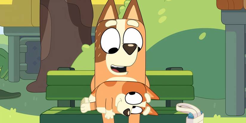 All 20 Bluey Shorts Ranked (& Where To Watch The Minisodes Online)