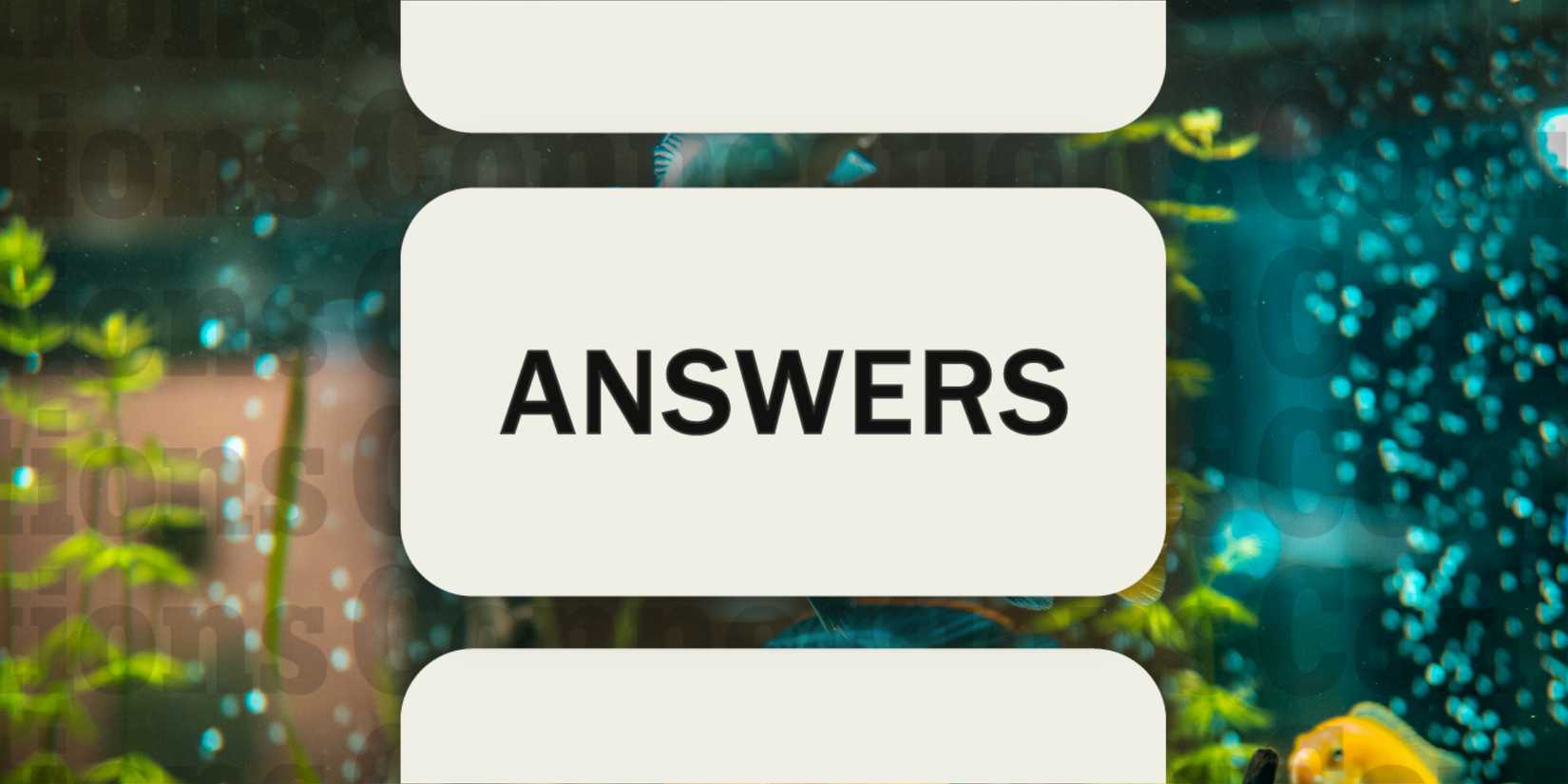 Today's Connections Hints & Answers For February 25, 2025 (Puzzle #625)