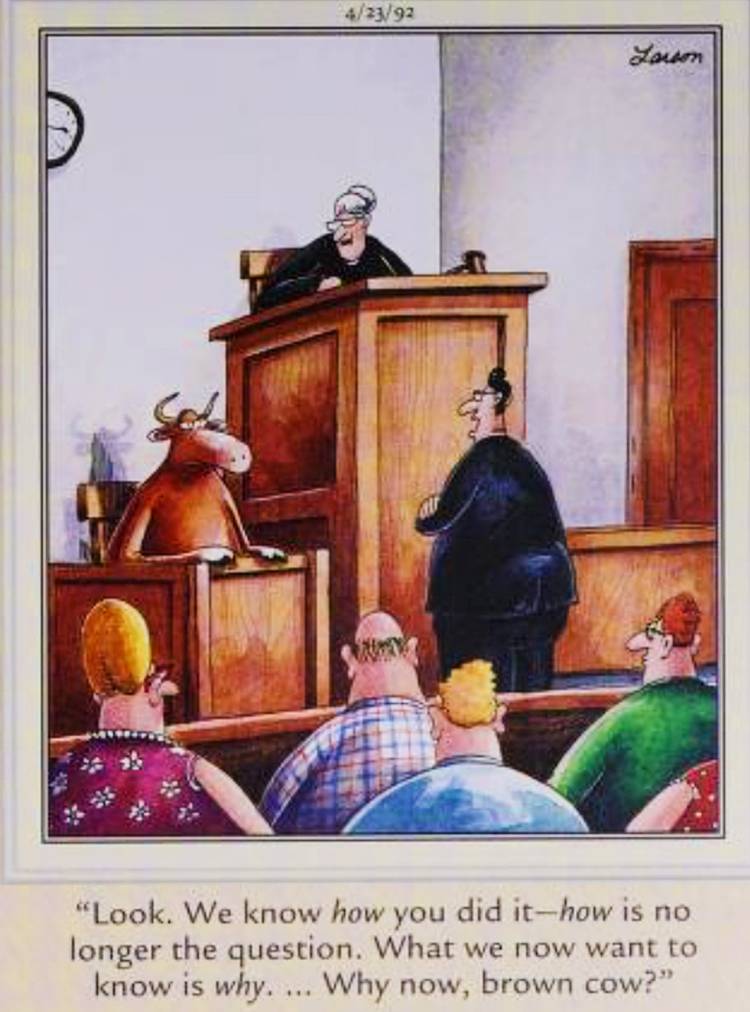 These 10 Hilarious Far Side Comics Are Evidence Of Gary Larson's Most ...