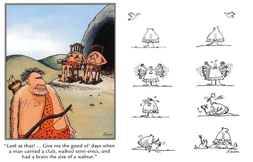 10 Funniest Far Side Comics That Somehow Make Archery Funny