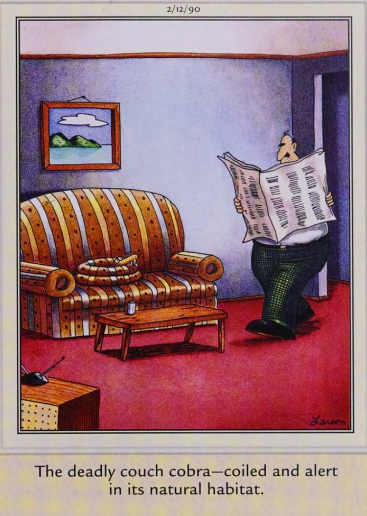 Celebrate With Us As These 10 Classic Far Side Comics Turn 35