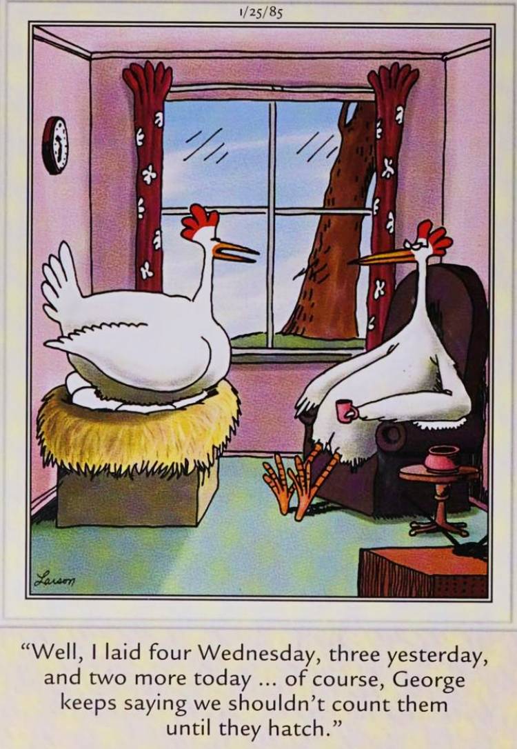 These 10 Far Side Comics Just Turned 40; Here's Why We're Still ...