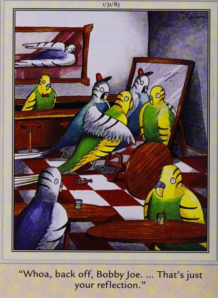 Bottoms Up! 10 Hilarious Far Side Comics All About Bars