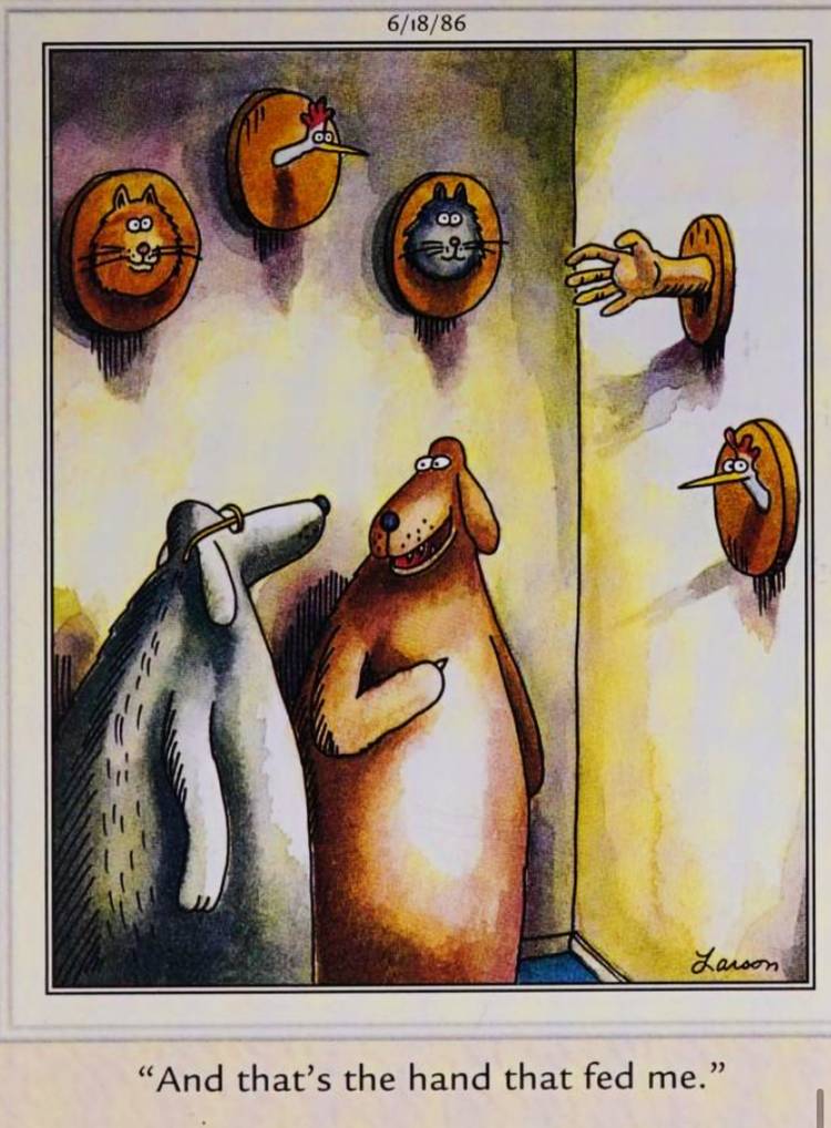 10 Hilarious Far Side Comics From the Peak Of Gary Larson's Career