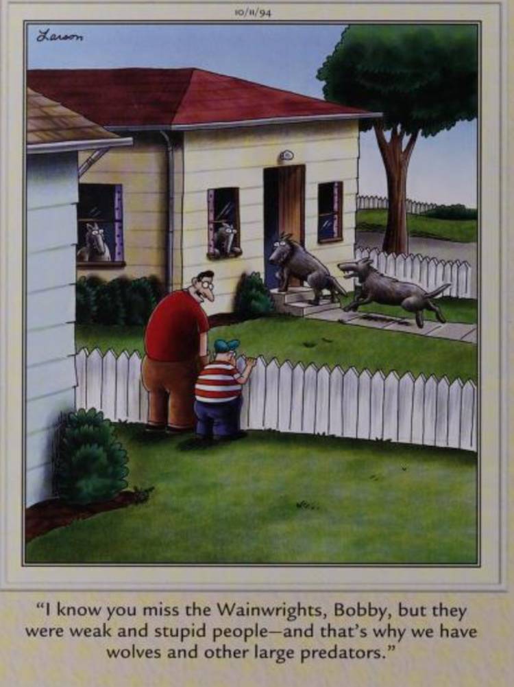10 Far Side Comics We Really Wish Had Sequels