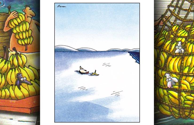 10 Funniest Far Side Comics That Prove Gary Larson Is Obsessed with ...