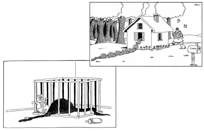 10 Funniest Far Side Comics About Incredibly Dangerous Pets