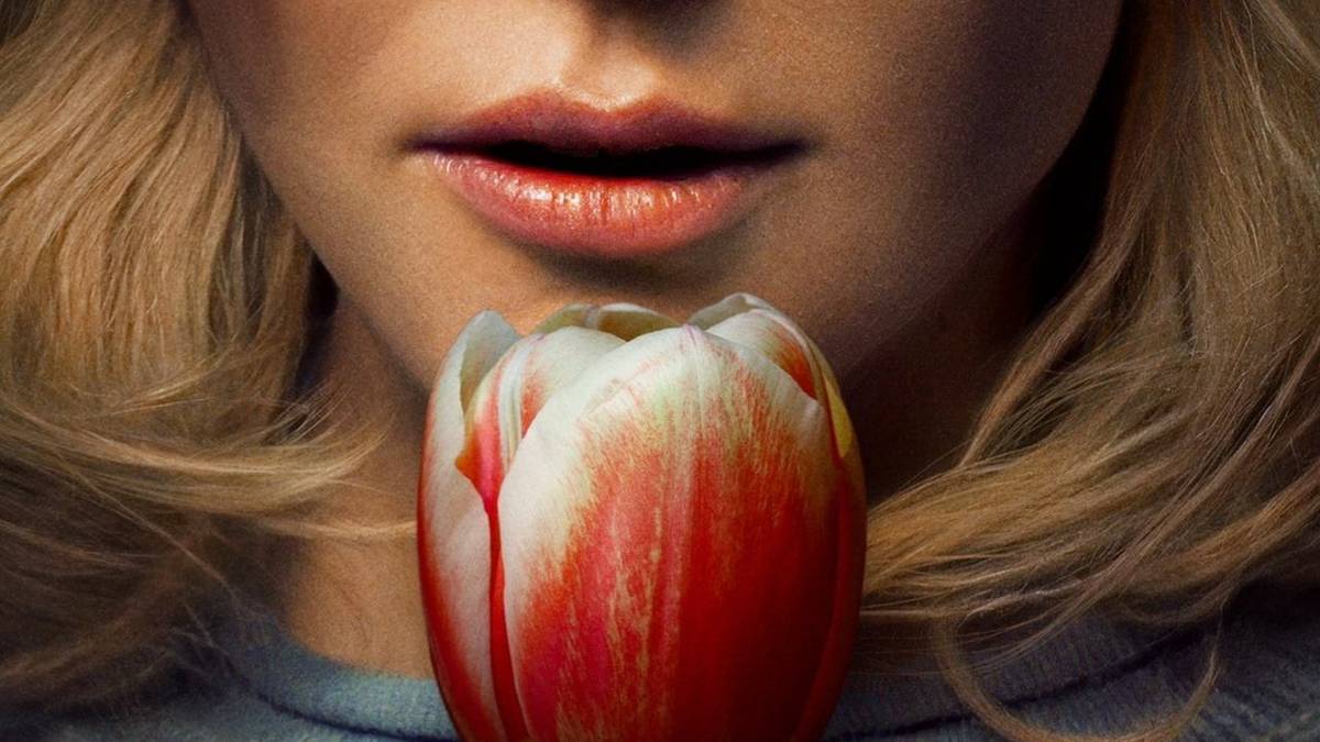 Holland Summary, Trailer, Cast, Where to Watch and More