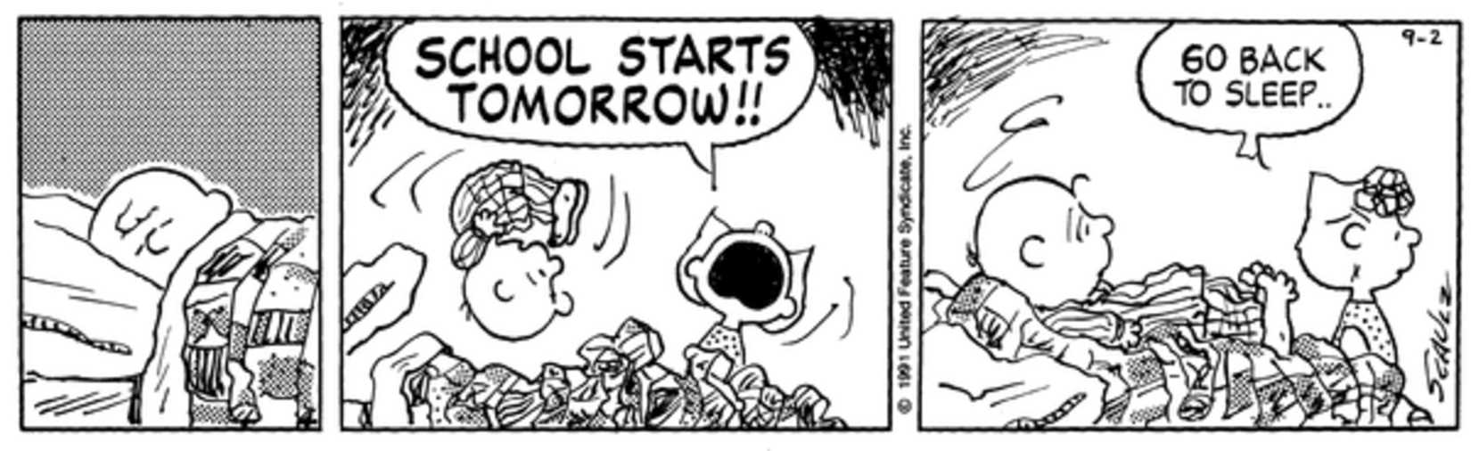 Can't Sleep? Charlie Brown Knows How to Help and These Peanut Comics ...