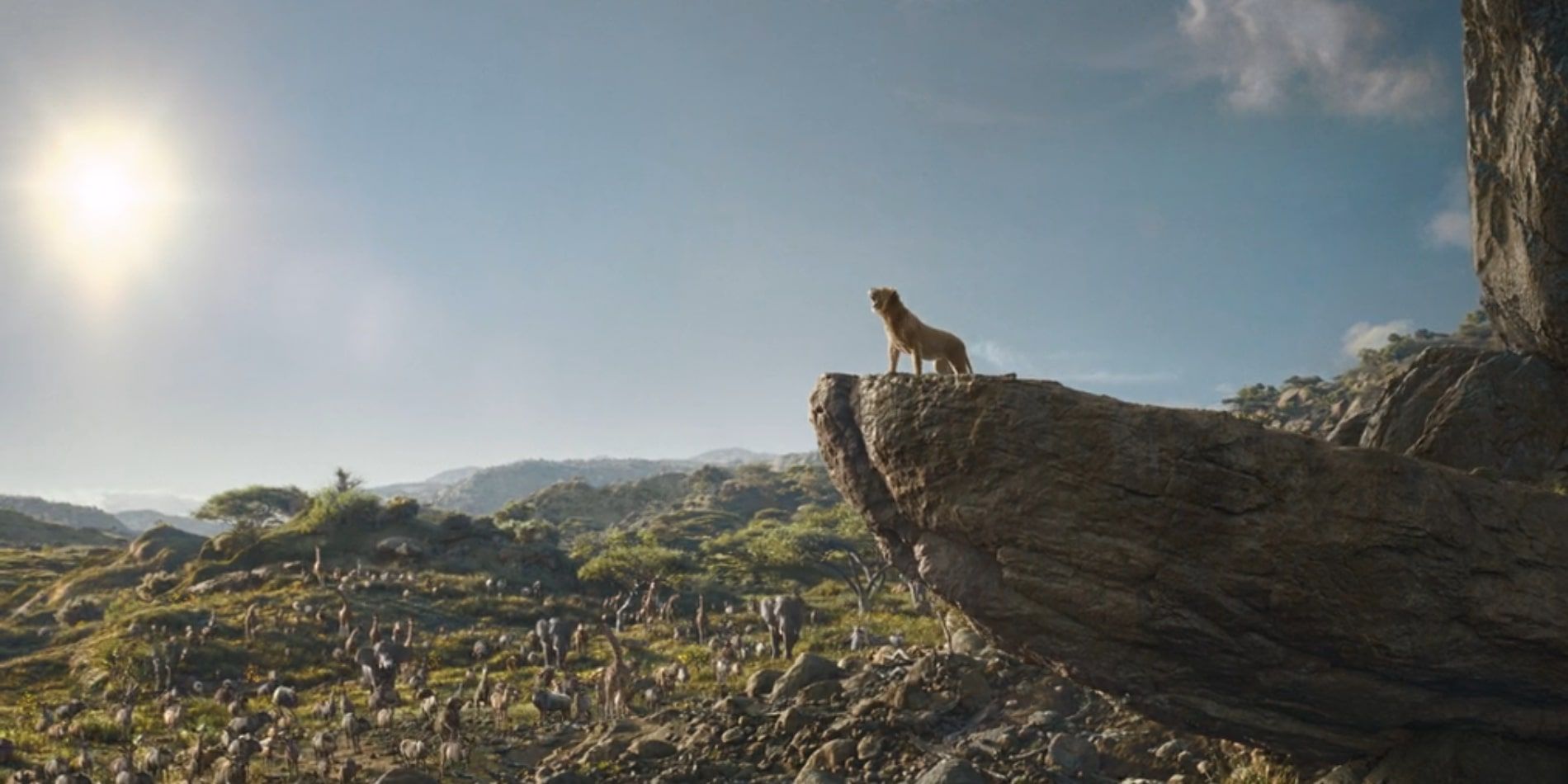 The Lion King | ScreenRant