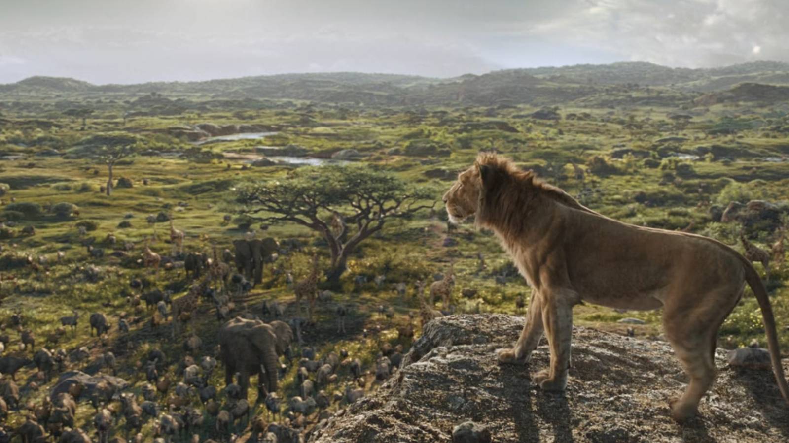Mufasa Settling This 31-Year-Old The Lion King Debate Was Long Overdue