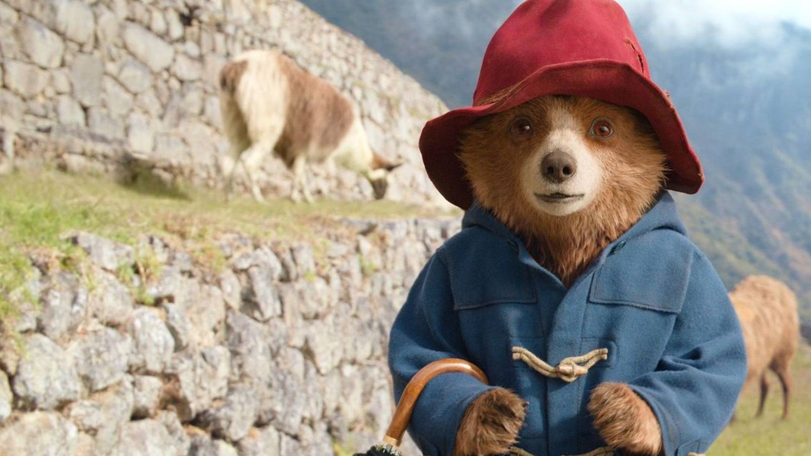 Paddington In Peru Finally Answered A Burning Question About The Bear