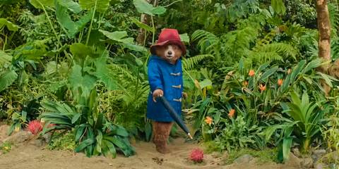 Paddington in Peru Summary, Trailer, Cast, Where to Watch and More