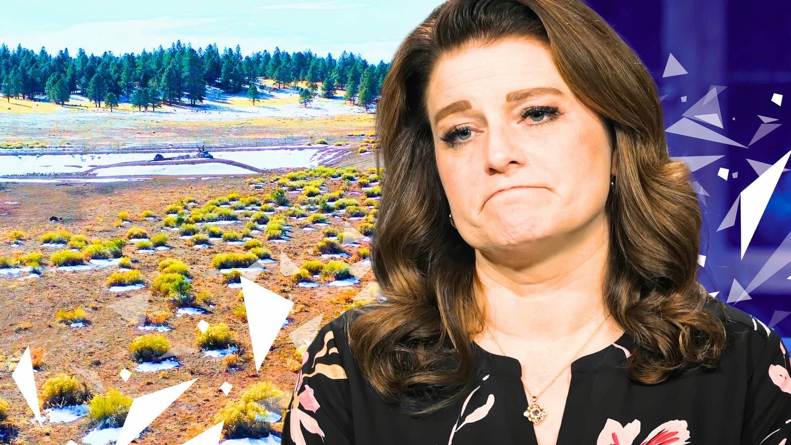 Robyn Got The "Extras!": Sister Wives' Janelle Said Robyn's House Was ...