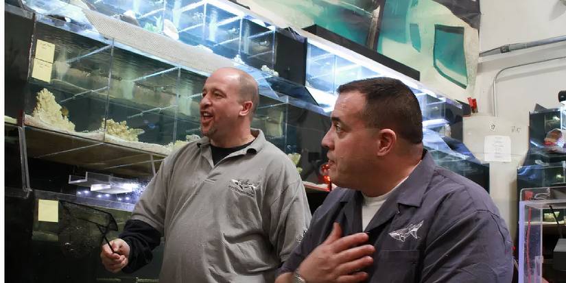 What Happened To Animal Planet's Tanked: Cancelation & The Stars ...