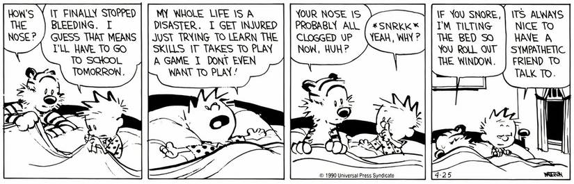 10 Heartwarming Calvin & Hobbes Comics To Share With Your Best Friend TODAY