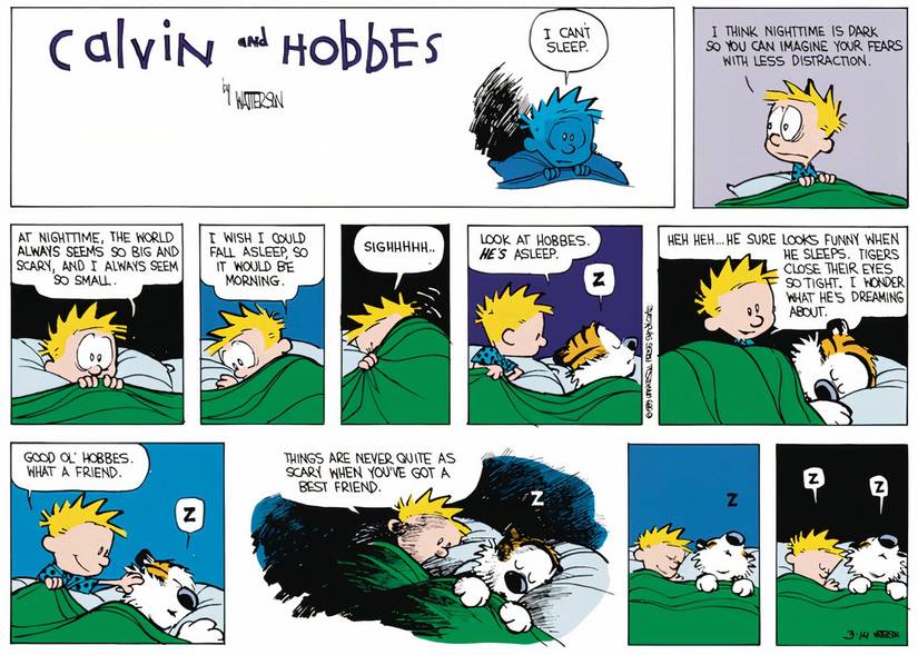10 Heartwarming Calvin & Hobbes Comics To Share With Your Best Friend TODAY