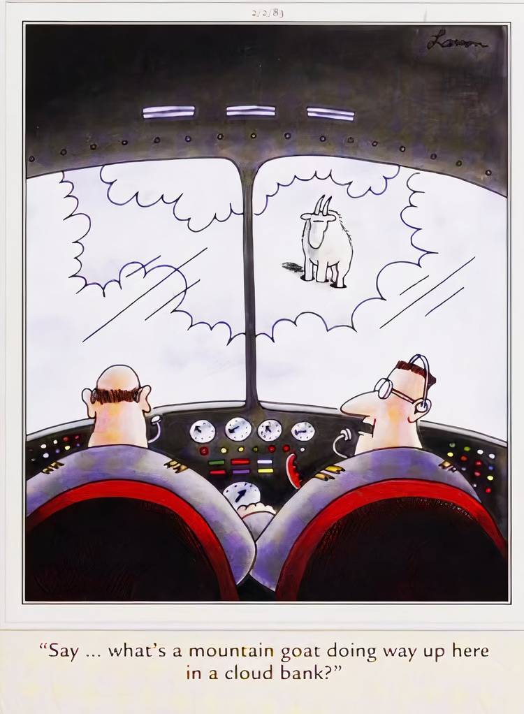 10 Hilarious Far Side Comics Starring the World’s Worst Pilots