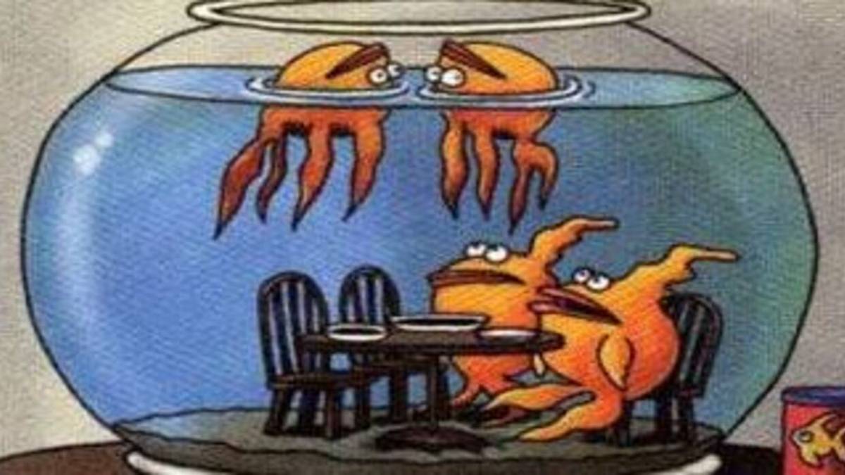 10 Far Side Comics That Will Change the Way You See Fish