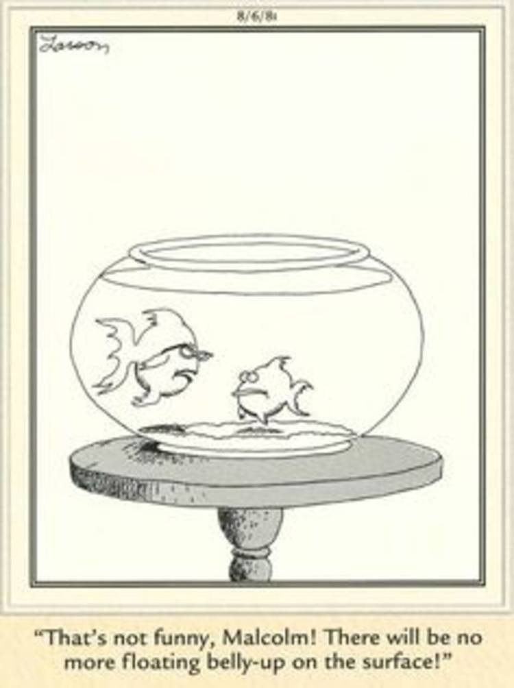 10 Far Side Comics That Will Change the Way You See Fish