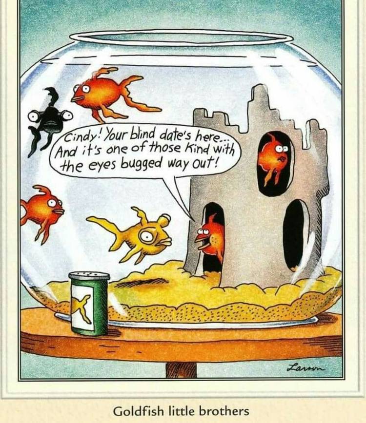 10 Far Side Comics That Will Change the Way You See Fish