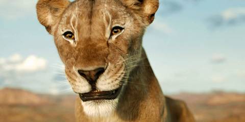 Mufasa: The Lion King Summary, Trailer, Cast, Where to Watch and More