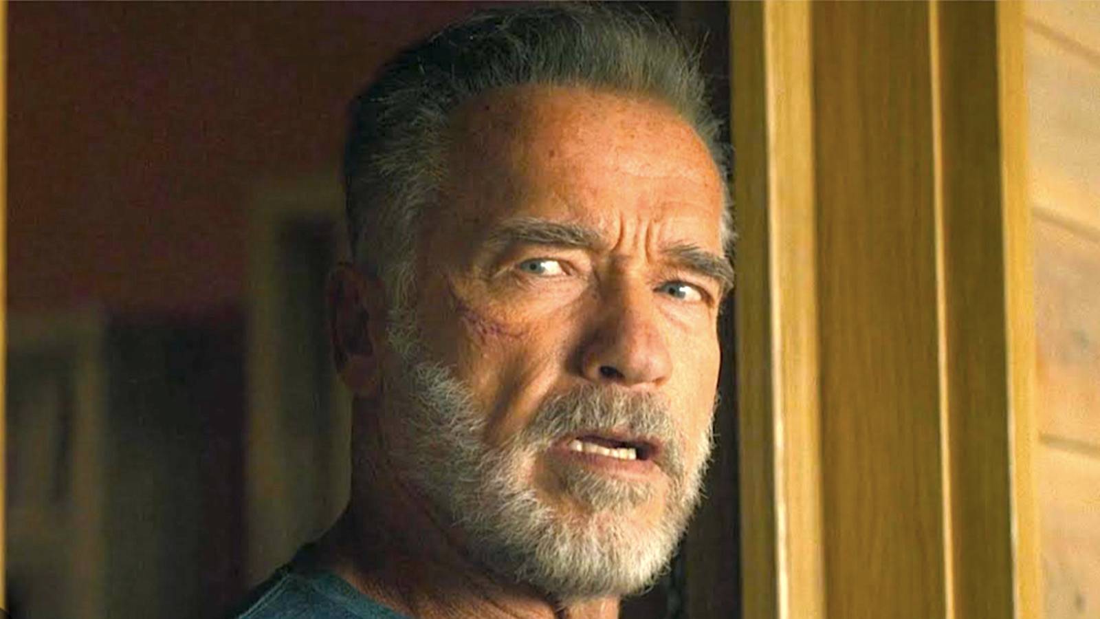 6 Positives in Post-T2 Terminator Movies: A Fresh Look
