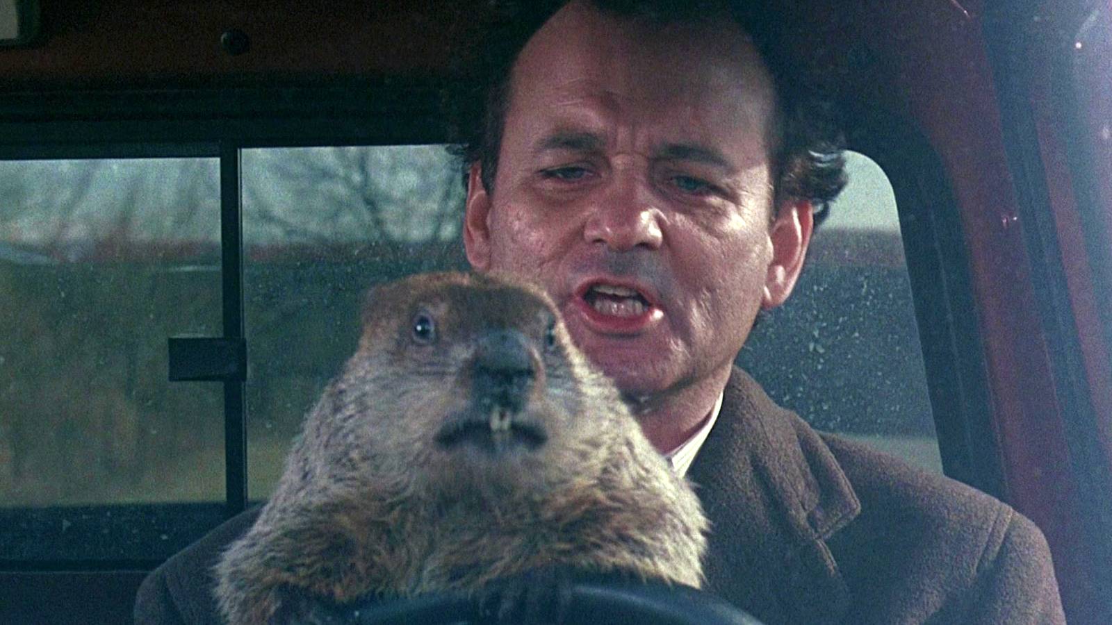 “Who In The Hell Trained This Gopher?”: Bill Murray Shows Off His Scar ...