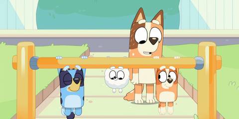 Bluey Summary, Trailer, Season List, Cast, Where to Watch and More
