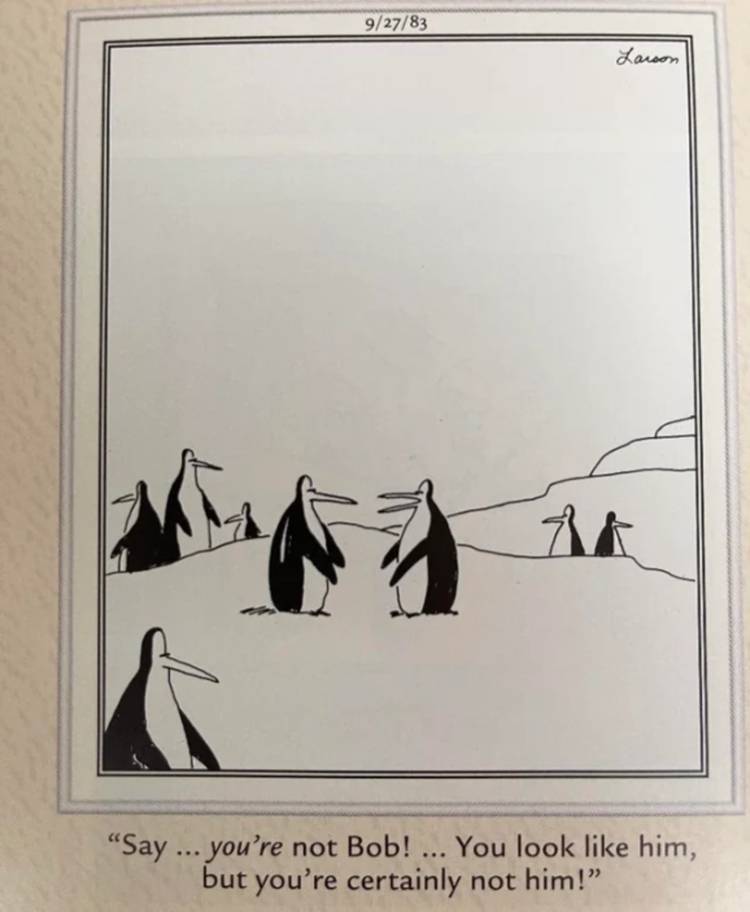 10 Far Side Comics That Will Make You Want to Visit the North Pole ASAP