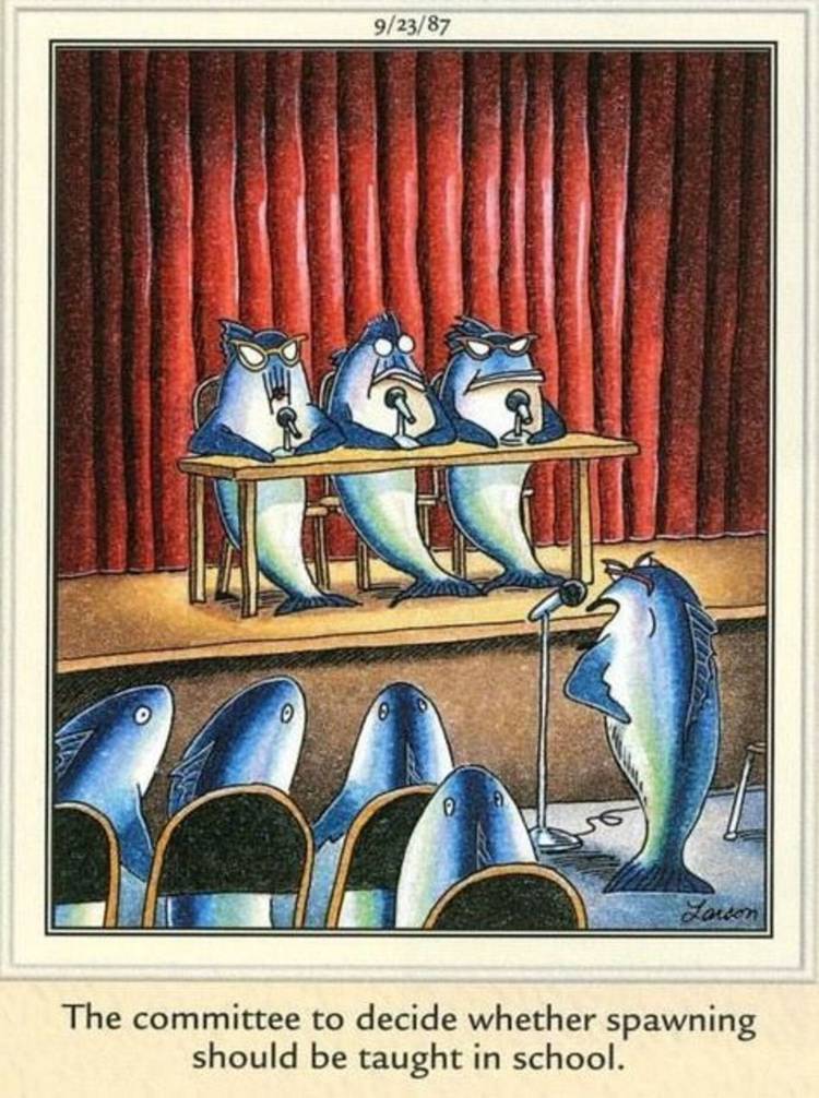 10 Far Side Comics That Will Change the Way You See Fish