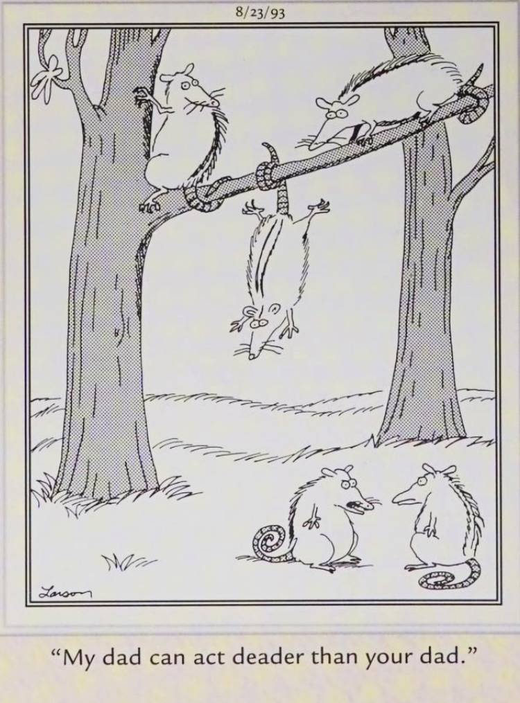 10 Whimsical Far Side Comics That Prove the Series Can Be Perfectly Silly