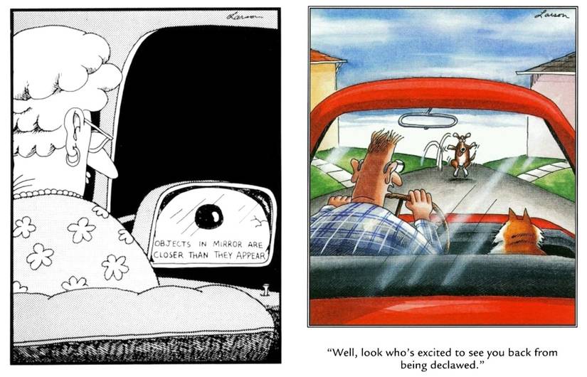 10 Funniest Far Side Comics That Will Make You Fear Your Own Car