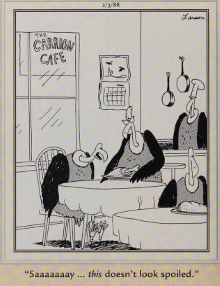 11 Hilarious Far Side Comics Set In Restaurants