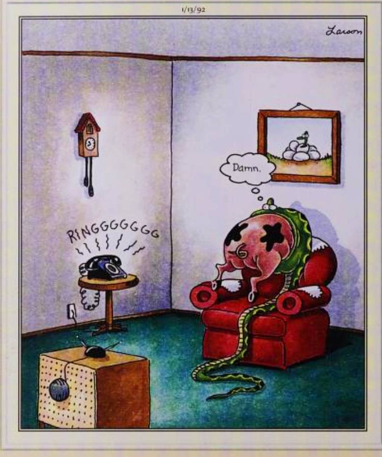 10 Far Side Jokes You Don't Need To Break Your Brain To Get