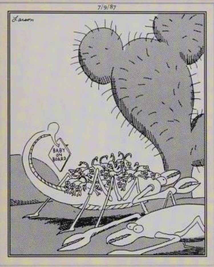 10 Whimsical Far Side Comics That Prove the Series Can Be Perfectly Silly