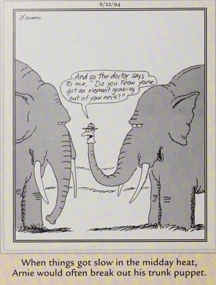 10 Far Side Comics We Wish We Could See For the First Time All Over Again