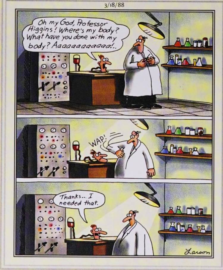 10 Wild Far Side Science Experiments You Won't Soon Forget