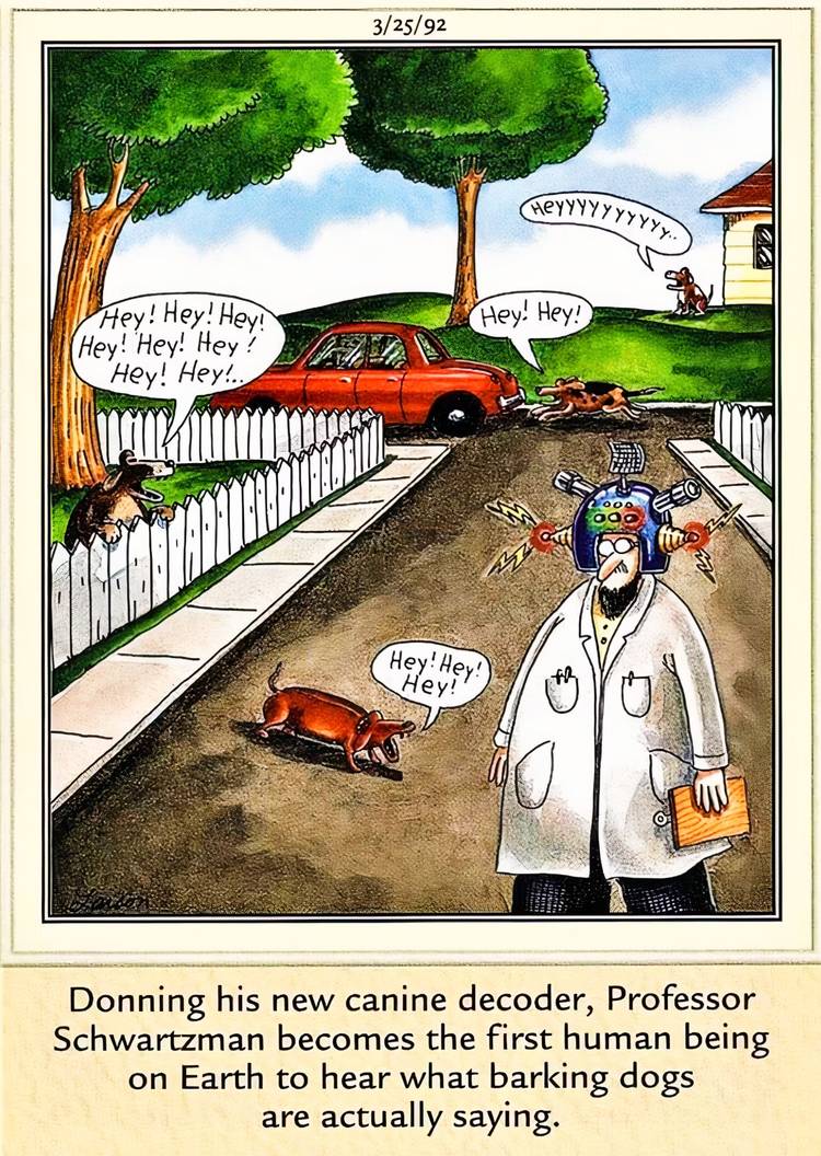 10 Wild Far Side Science Experiments You Won't Soon Forget