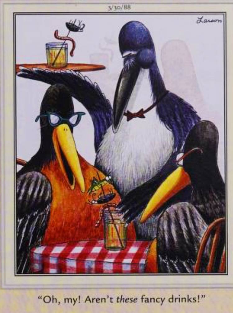 10 Hilarious Far Side Comics Where Birds Act Like Humans