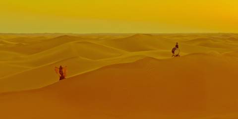 Hans Zimmer & Friends: Diamond in the Desert Summary, Trailer, Cast ...
