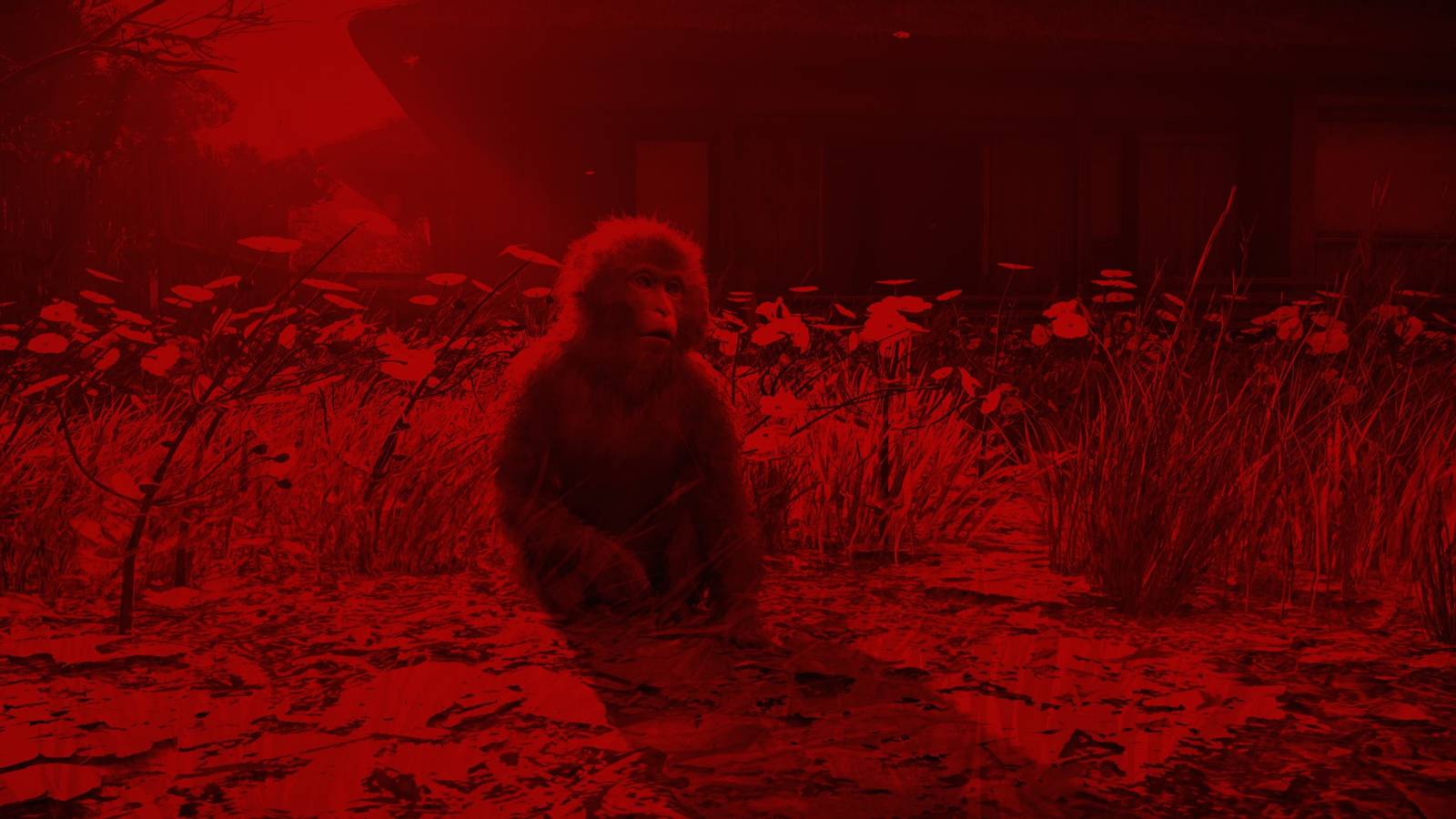 Assassin's Creed Shadows: How To Get Monkeys For Your Hideout
