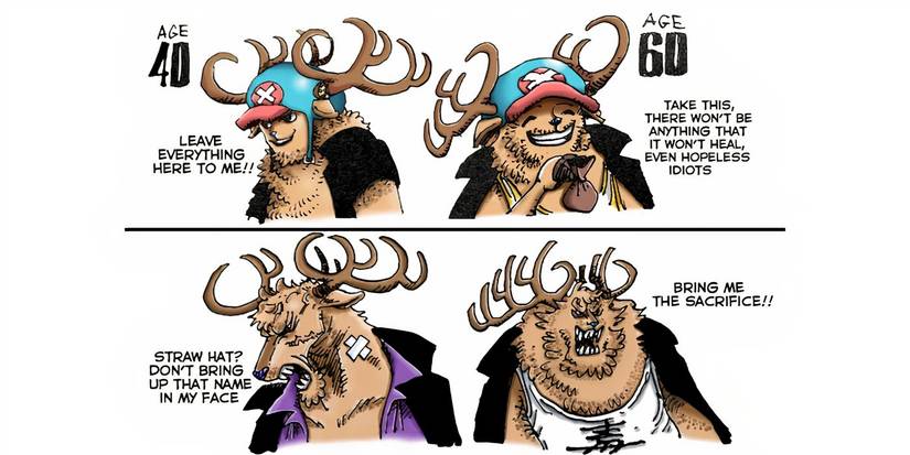 The Straw Hat Crew as Adults? One Piece's Creator Already Knows How the ...