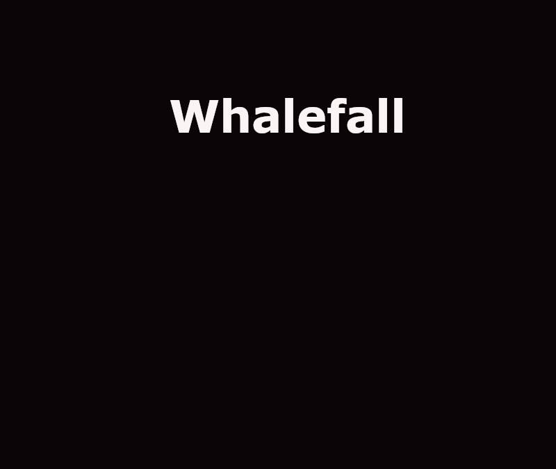Whalefall | ScreenRant