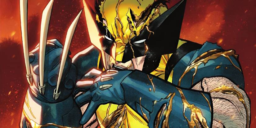 Wolverine Officially Confirms His Canon Height, And the Combat ...