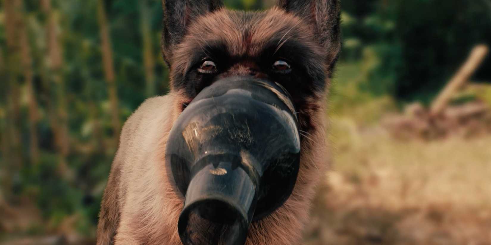 A Breed Apart Trailer: Influencers Trying To Win An Island Are Hunted ...