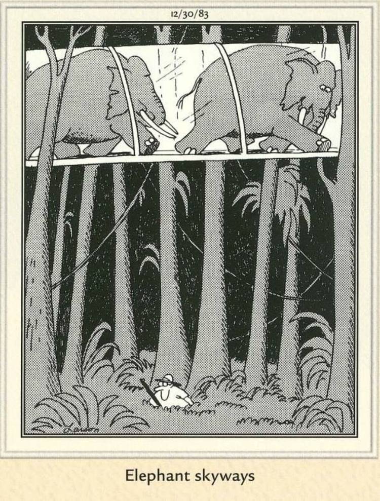 10 Times The Far Side Proved the Jungle Is Full of Secrets